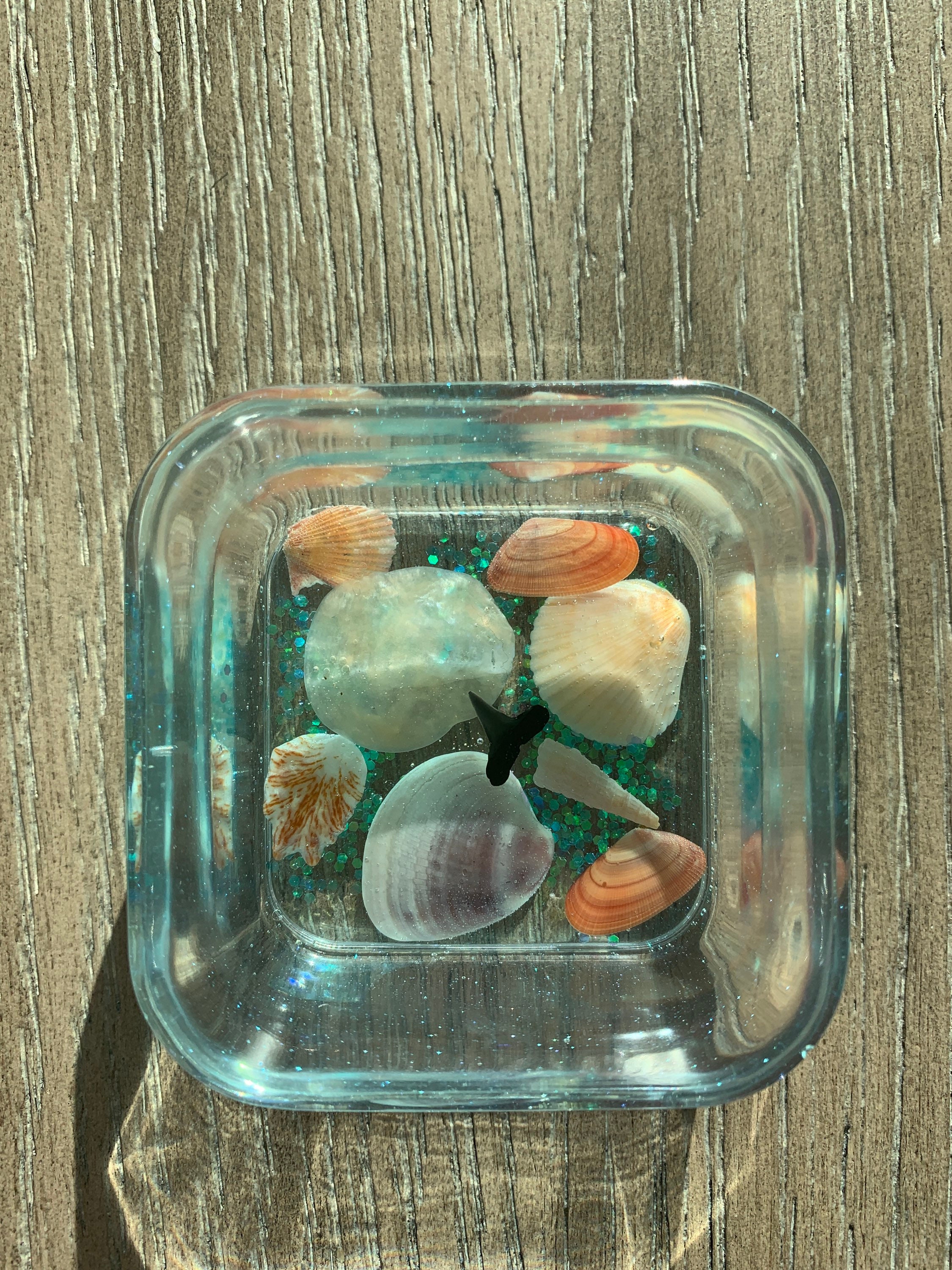 Tray-shell Square - Etsy