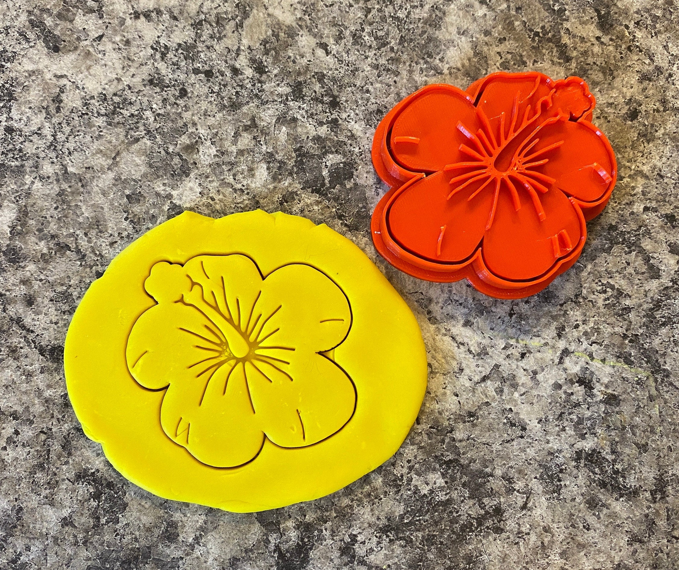 Hibiscus Stamp and Outline Cutter - Etsy