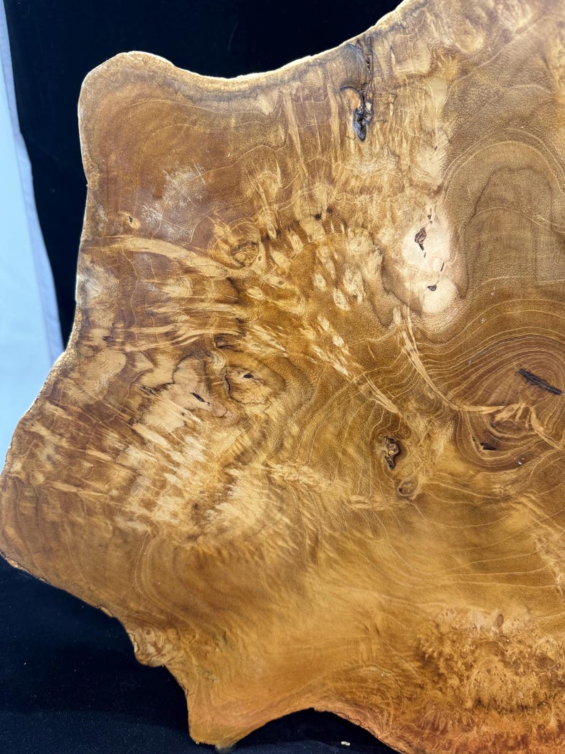 Teak Live Edge Burl Slab, Teak Burl Slab, Live Edge Burl, Teak Burl ...