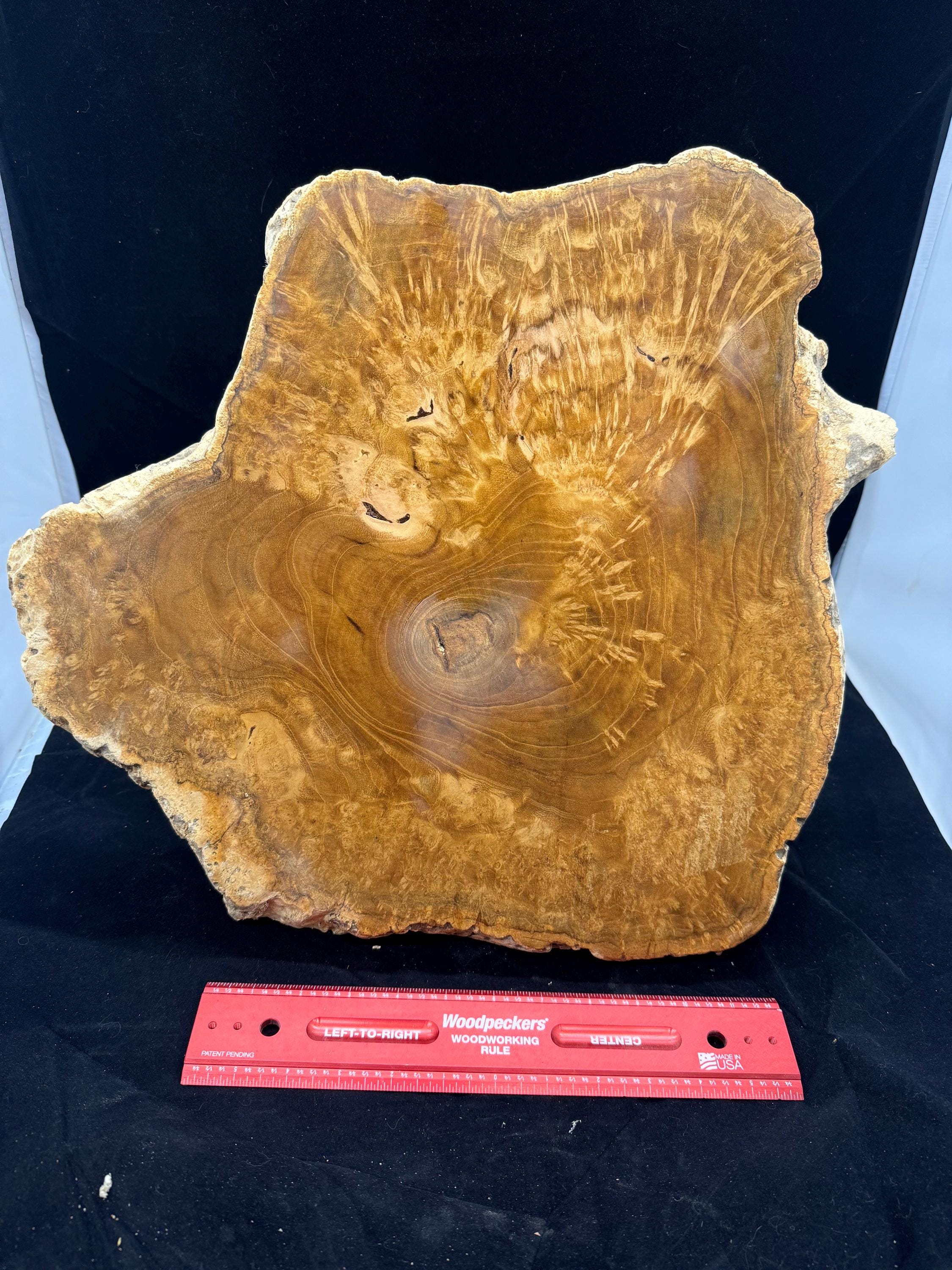 Teak Live Edge Burl Slab, Teak Burl Slab, Live Edge Burl, Teak Burl ...