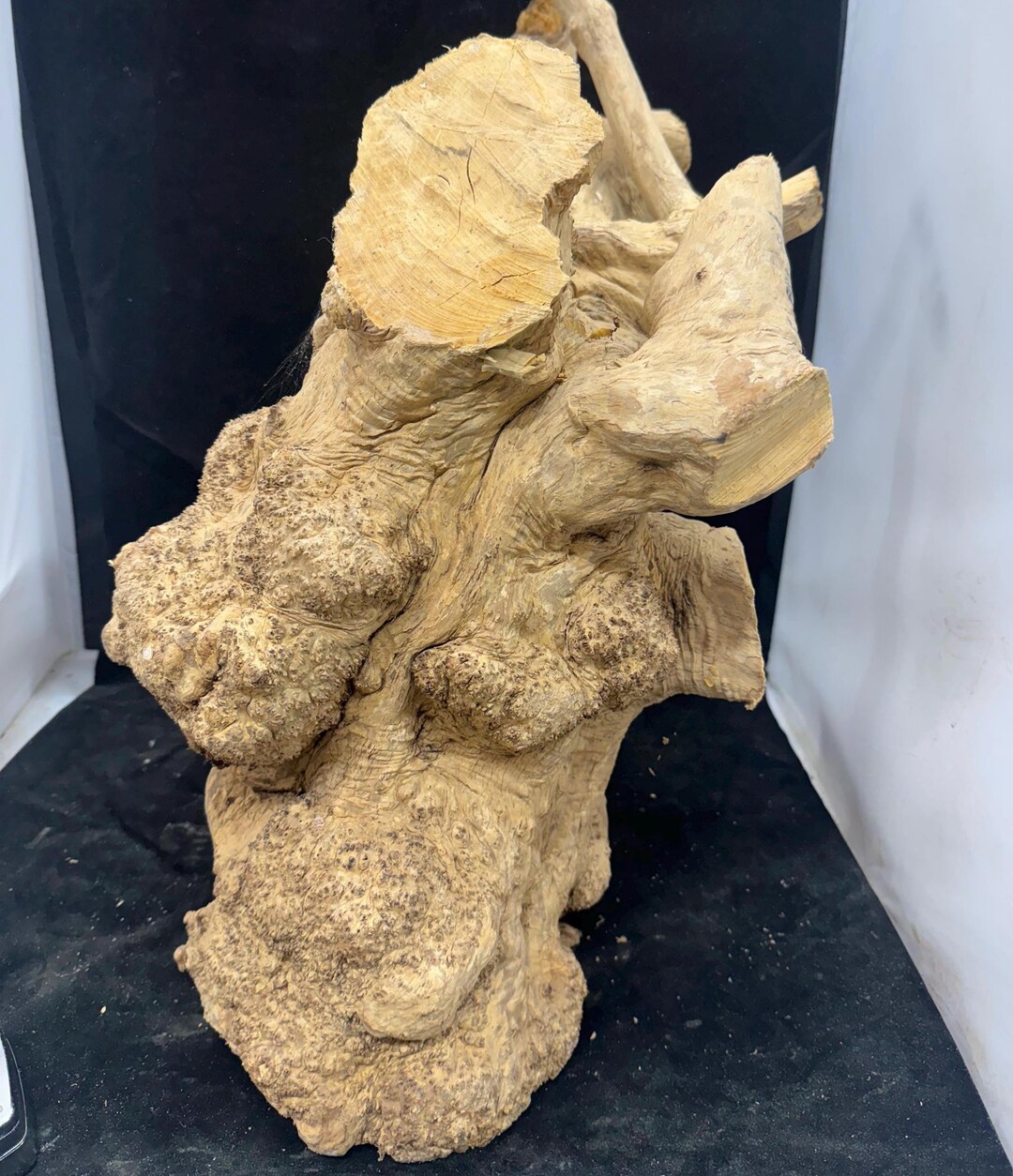 Vietnamese Coffee Burl, Wood Turning Burl, Turning Blanks, Exotic ...