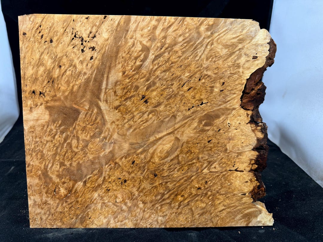 Maple Burl, Maple Burl Mini Slab, Live-edge Maple Burl - Etsy