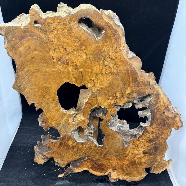 Burl Slab - Etsy