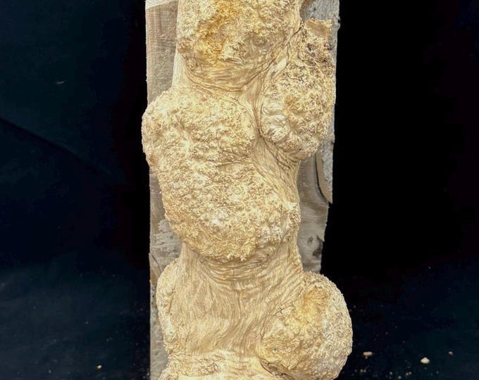 Vietnamese Coffee Burl, Wood Turning Burl, Turning Blanks, Exotic ...