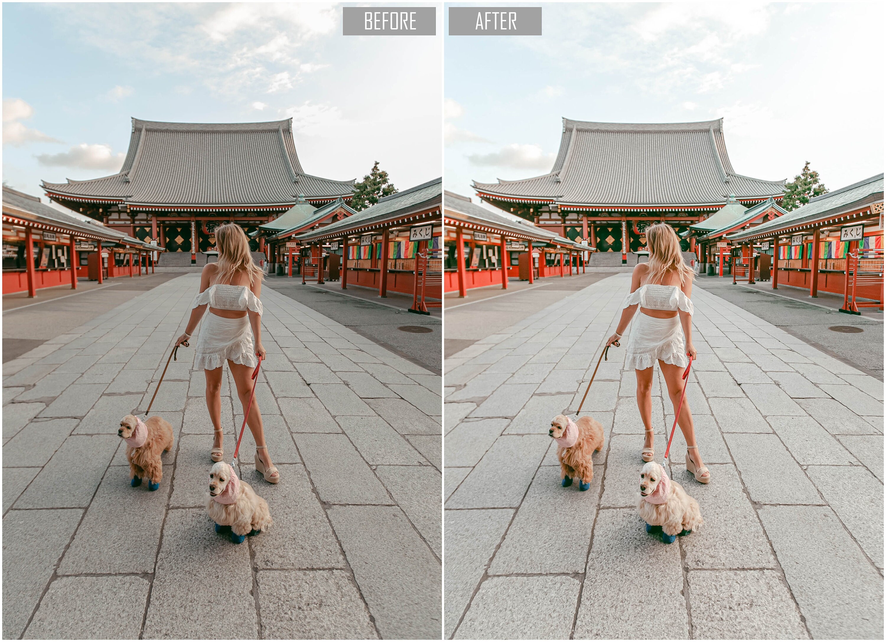 Natural Airy Mobile and PC Lightroom Presets Vsco Filters - Etsy