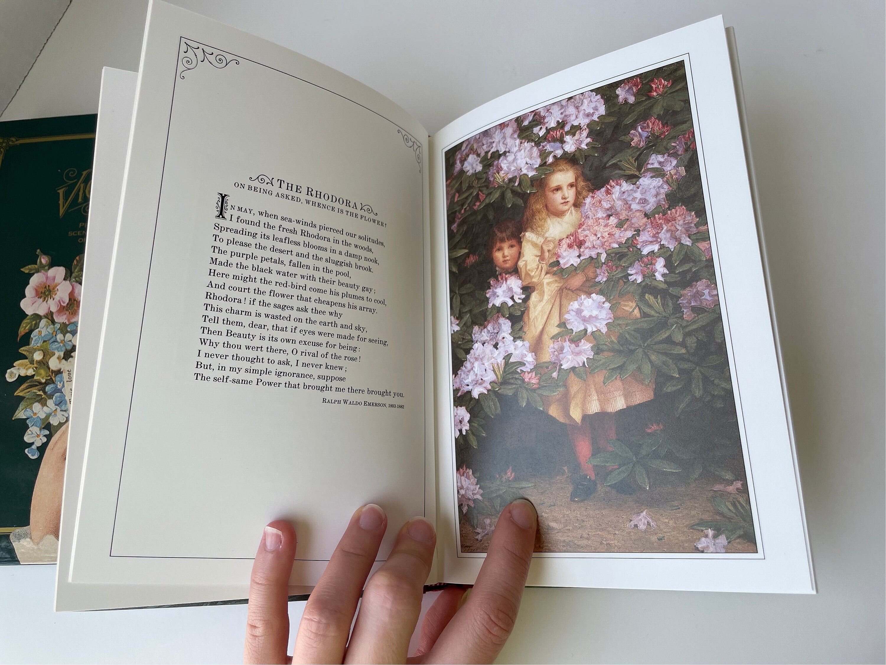 Vintage Victorian Posy by Sheila Pickles, Vintage Victoriana Book ...