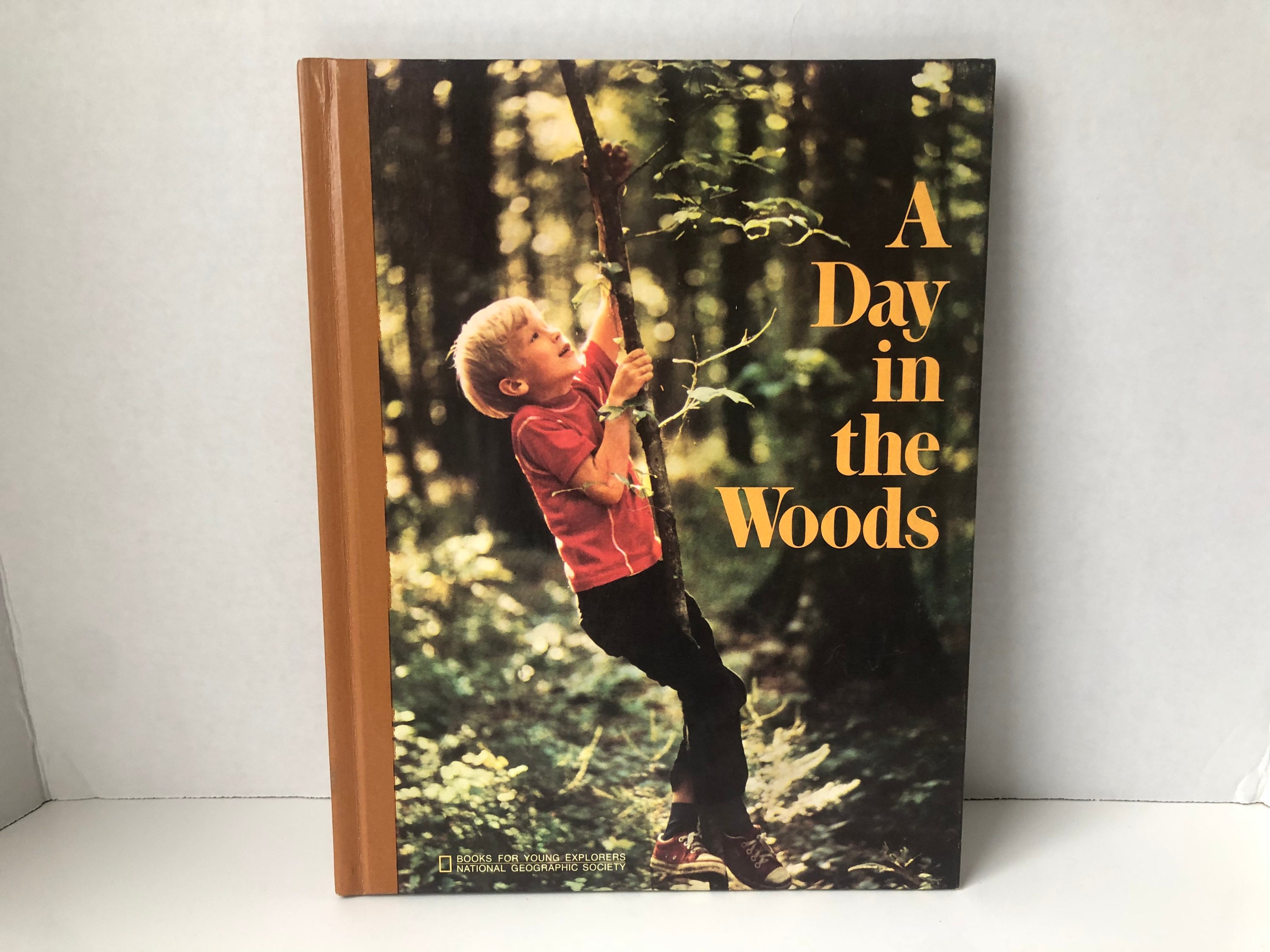 Vintage A Day in the Woods Book, 1975 Kids Book, National Geographic ...