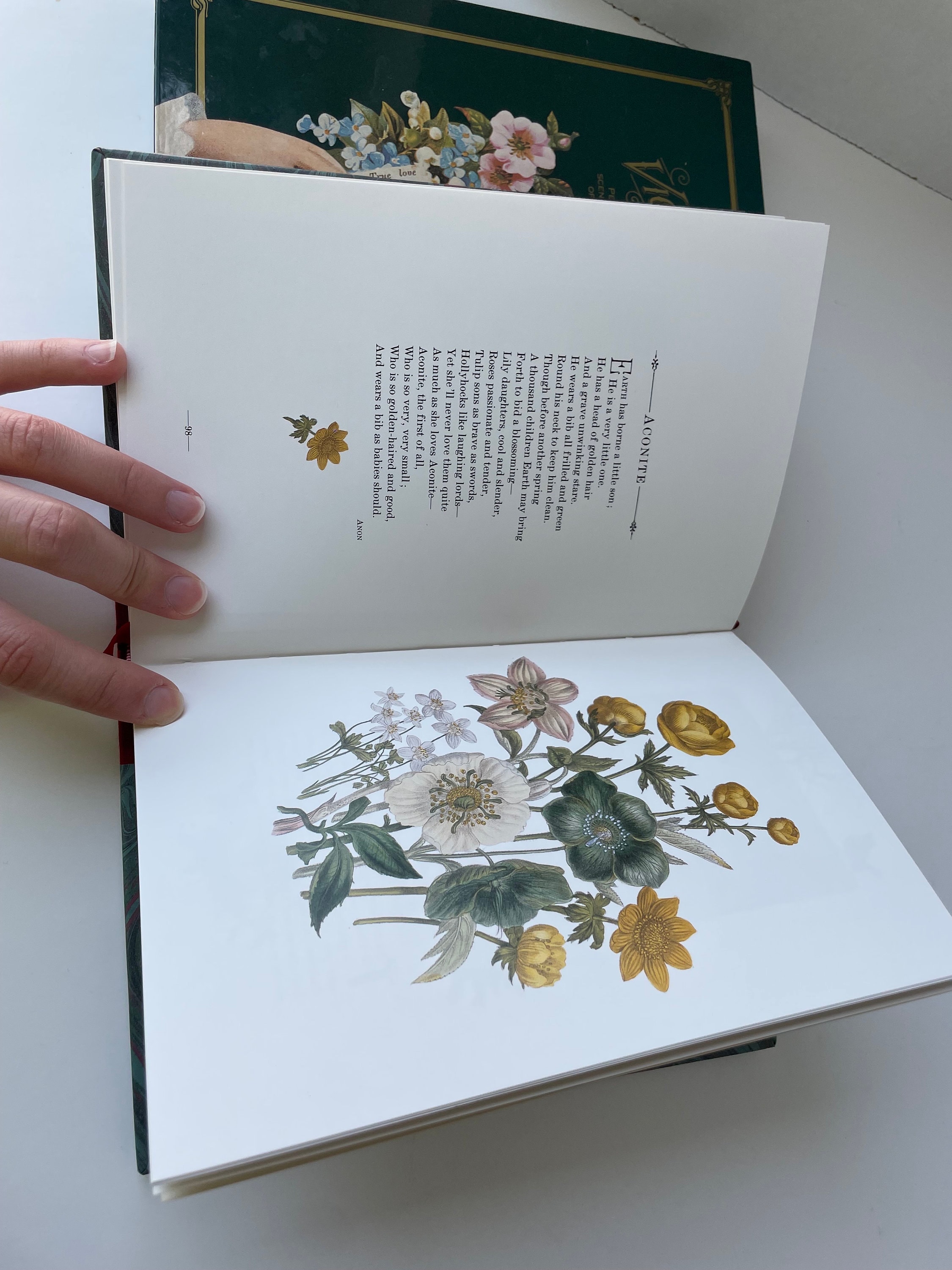 Vintage Victorian Posy by Sheila Pickles, Vintage Victoriana Book ...