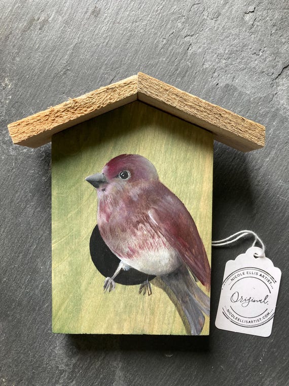 Finch birdhouse store