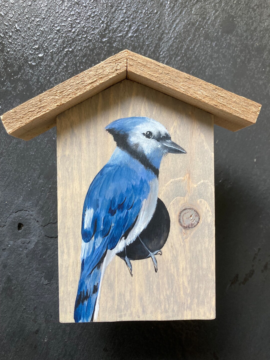 Bluejay Birdhouse Plaque - Etsy