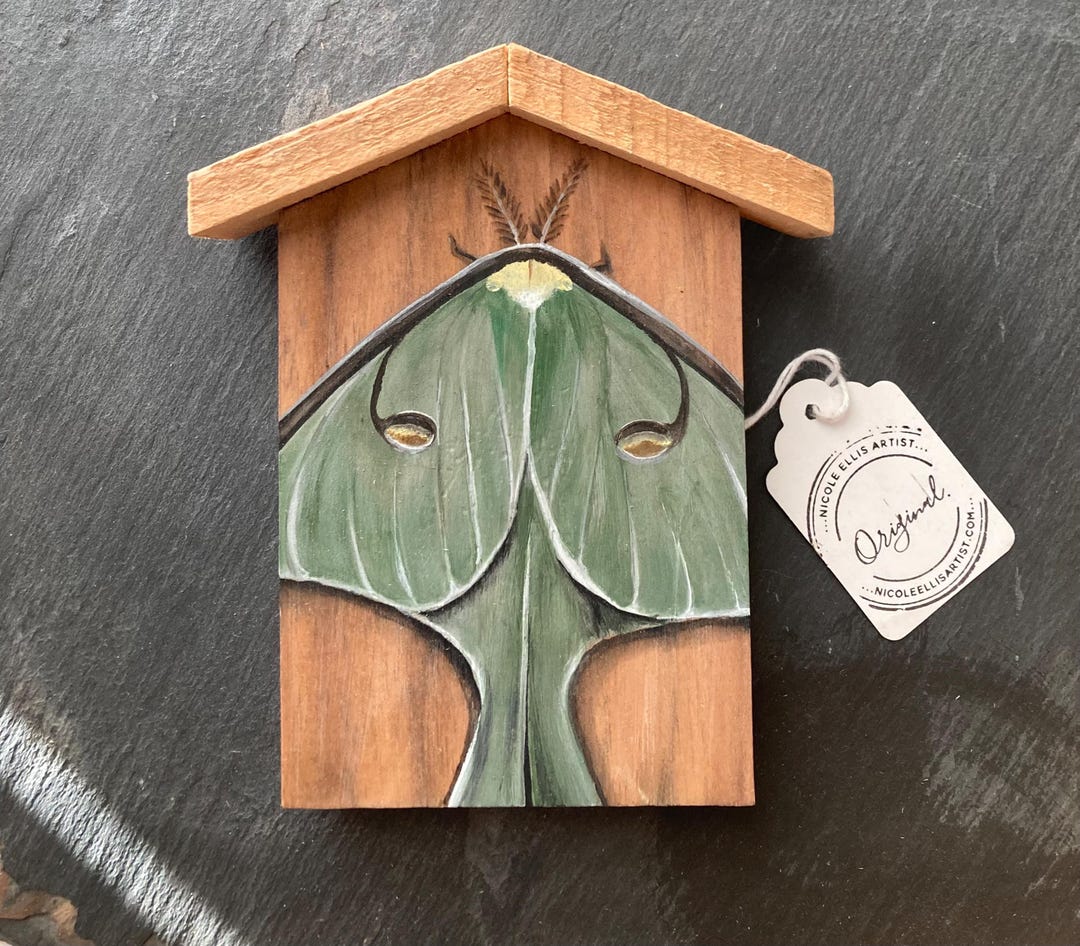 Luna Moth Painted Decorative Birdhouse Plaque - Etsy