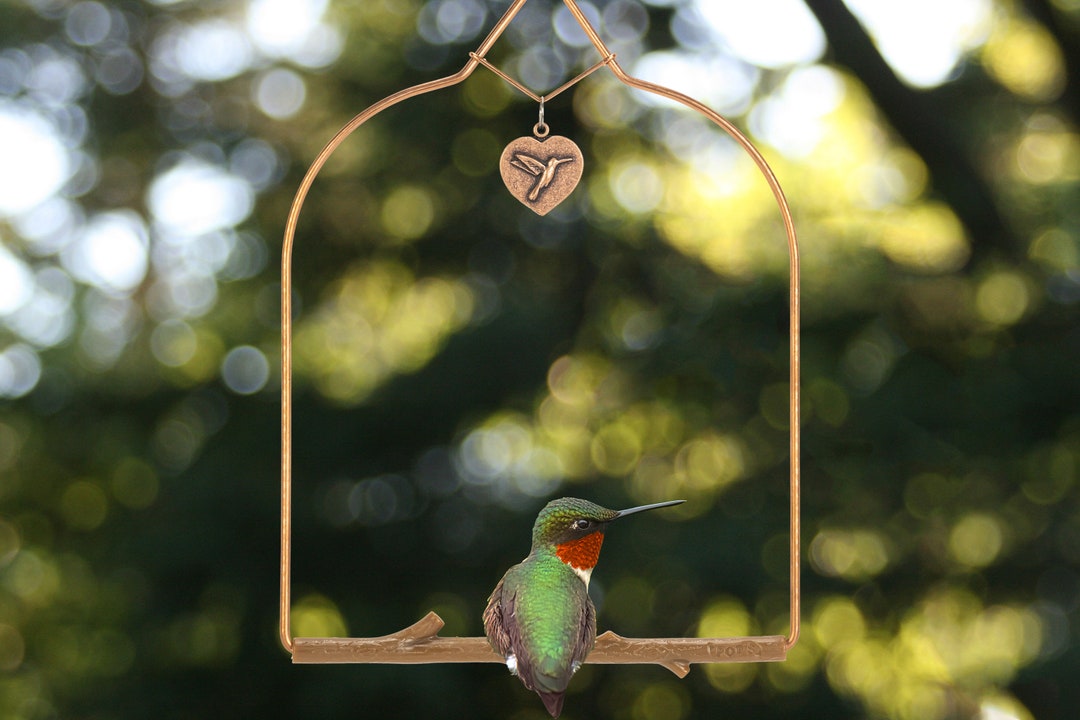 Copper Hummingbird Swing With Heart Charm - USA Made - Etsy