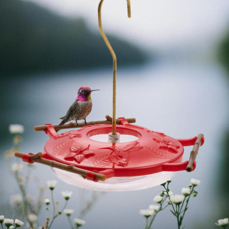 Pop's Birding Aspenperch™ Hummingbird Feeder, 8 Oz Feeding Capacity - Etsy