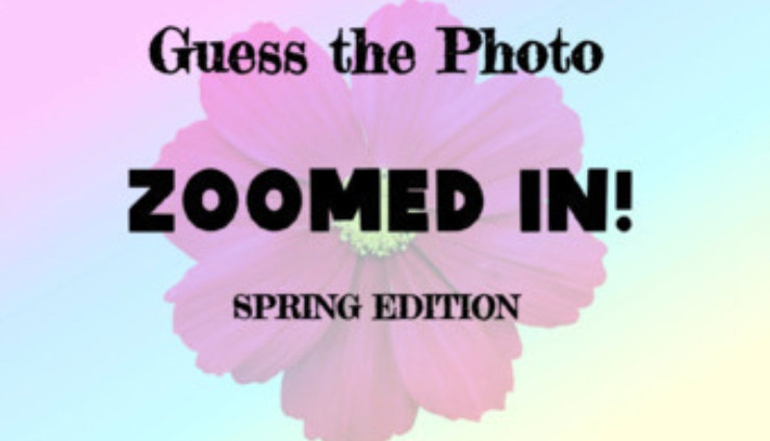 Guess the Zoomed in Picture Game: Spring Edition - Etsy