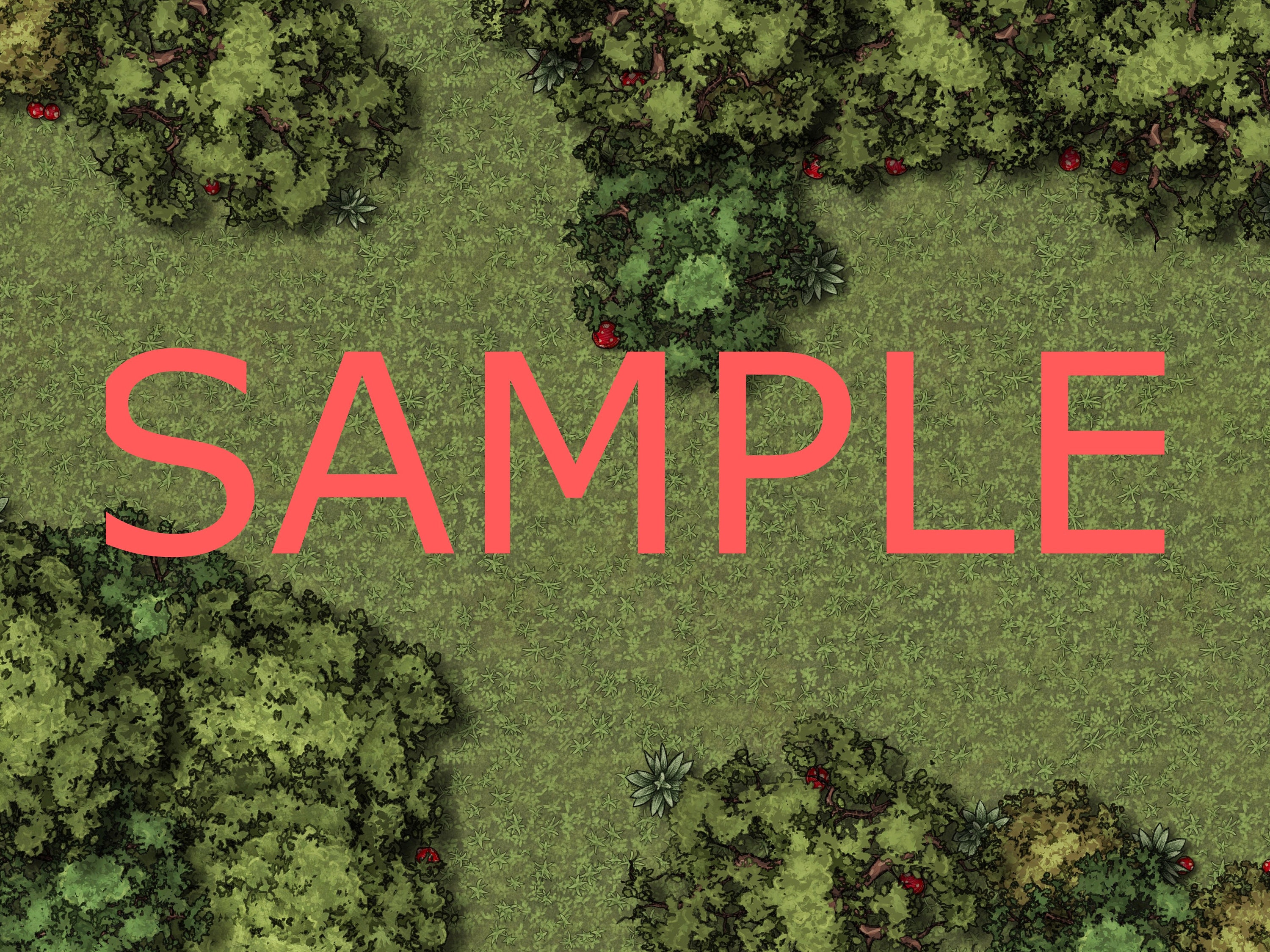 TTRPG Fantasy Forest Map Pack 5 Battle Maps with Grid | Etsy