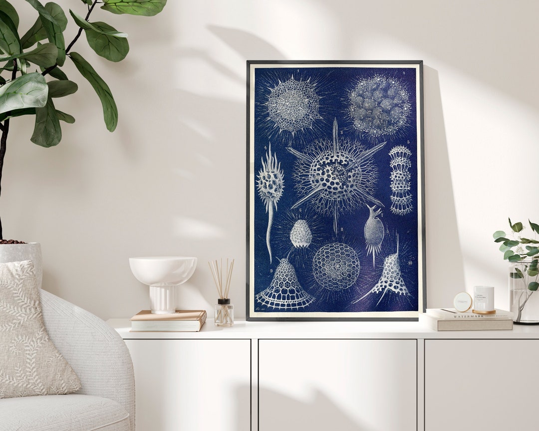 Vintage Shell Art, Blue Beach Print, Vintage Coastal, Lake House Art ...