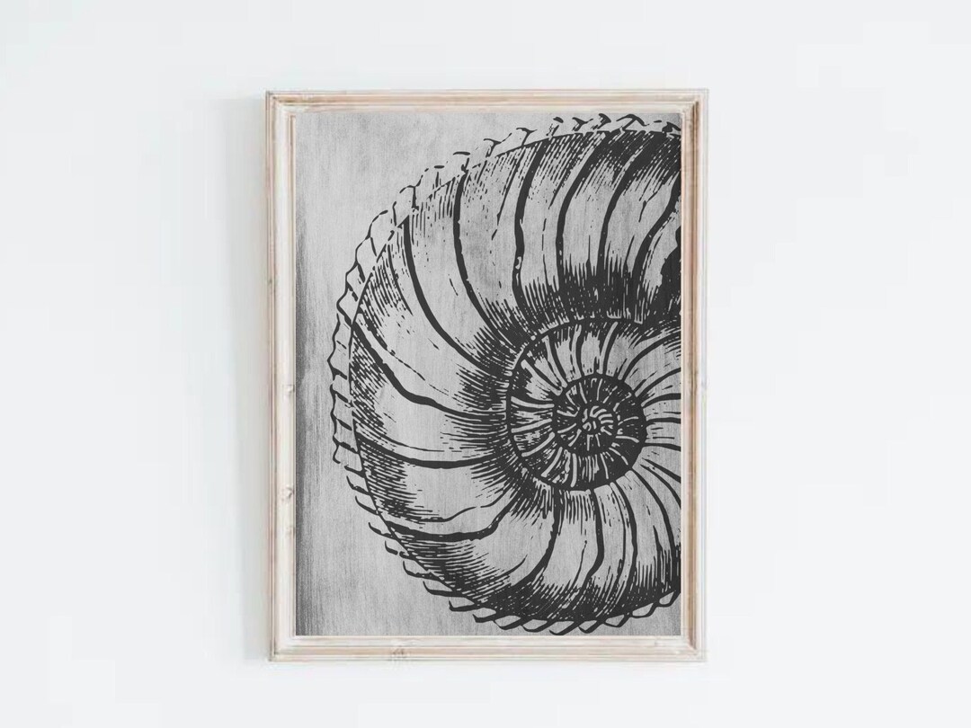 Sea Shell Print, Beach Printable Wall Art, Fossil Print, Coastal Wall ...
