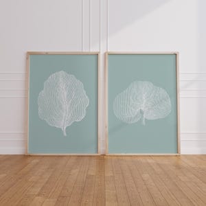 Coastal Wall Art, Sea Fan Prints, 3 Piece Wall Art, Coral Artwork, Boho ...