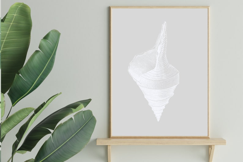 Gray Conch Shell Print Sea Shell Wall Art Coastal Decor - Etsy