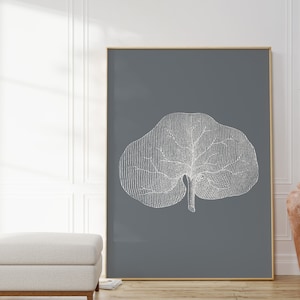 Gray Sea Fan Prints, 3 Piece Wall Art, Beach House Art, Coral Artwork ...