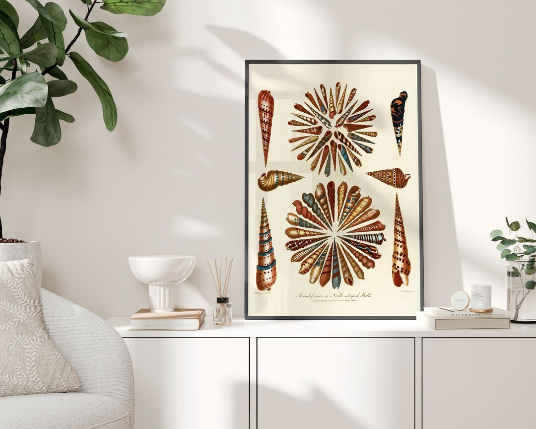 Vintage Sea Shell Art, Beach Print, Vintage Coastal, Lake House Art ...