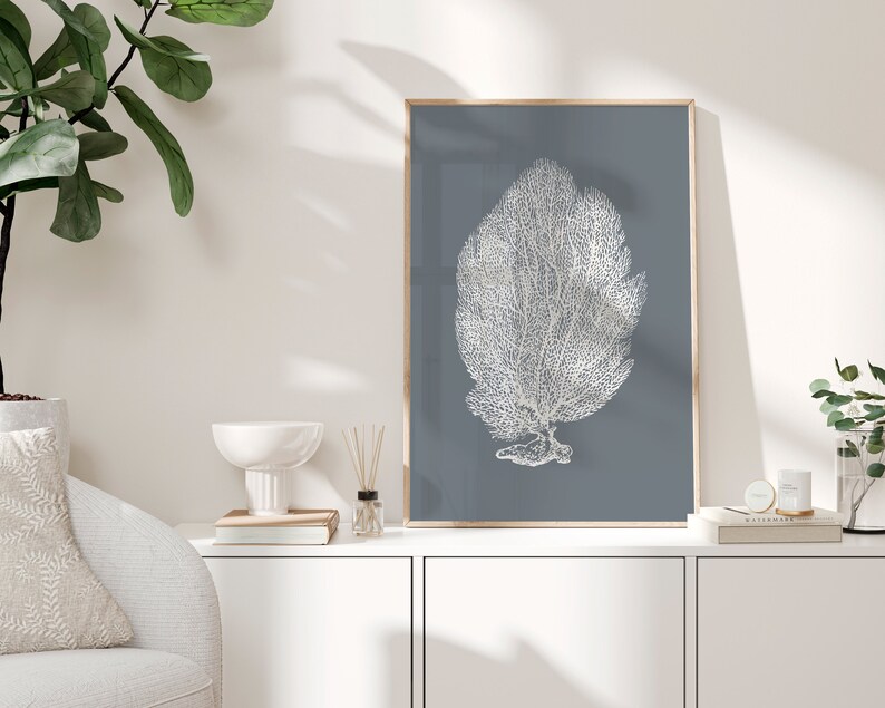 Gray Sea Fan Prints, 3 Piece Wall Art, Beach House Art, Coral Artwork ...