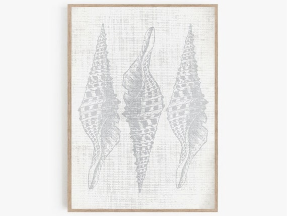 Vintage Shell Print Beach Printable Coastal Farmhouse - Etsy