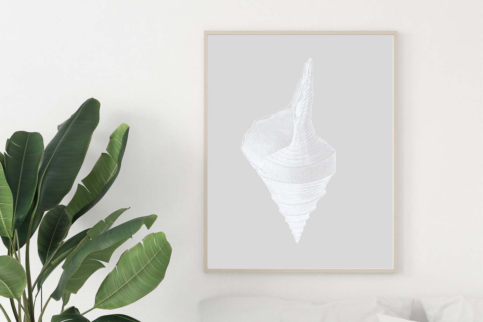 Gray Conch Shell Print Sea Shell Wall Art Coastal Decor - Etsy