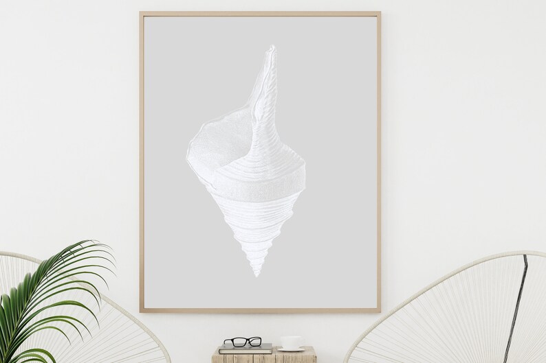 Gray Conch Shell Print Sea Shell Wall Art Coastal Decor | Etsy