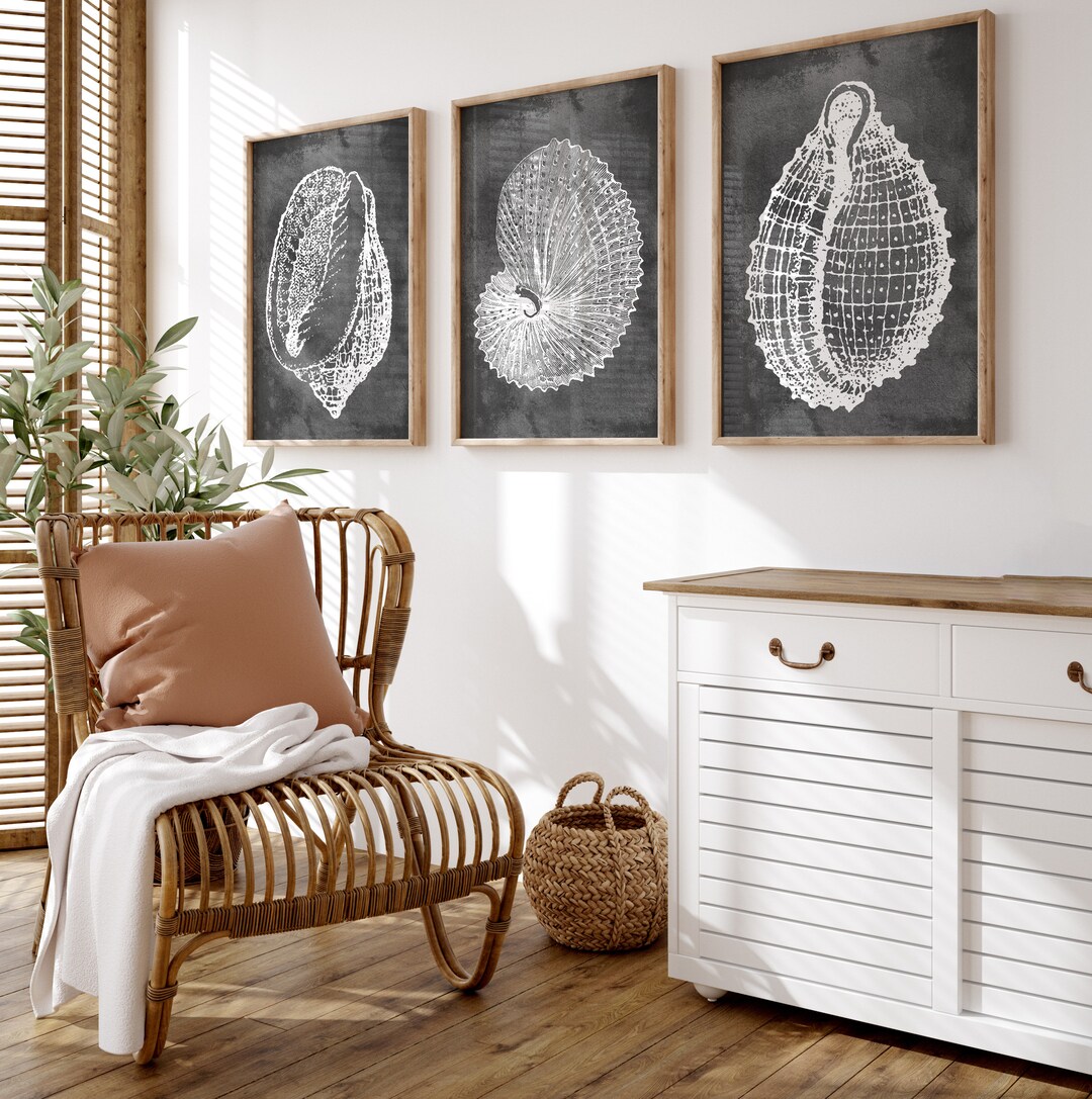 Coastal Wall Art, Shell Prints, Ocean Art, Neutral Coastal Art, Sea ...