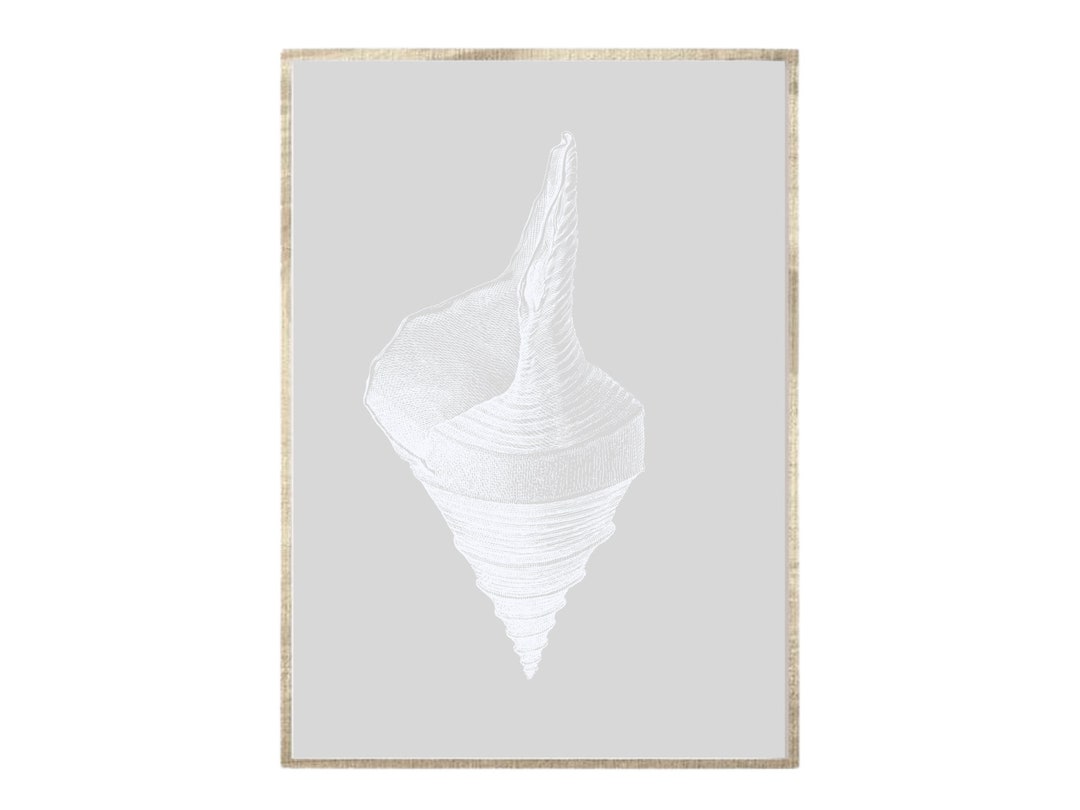 Gray Conch Shell Print, Sea Shell Wall Art, Coastal Decor, Beach Art ...