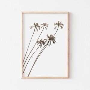 Coastal Wall Art, Beach Prints, Palm Tree Art, Sea Shell Print, Beachy ...