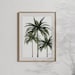 Palm Tree Print Palm Tree Wall Art Palm Tree Poster Palm - Etsy