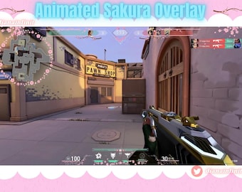 Valorant Sakura Stream Overlay - Etsy