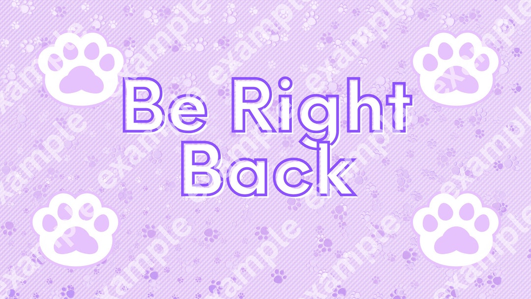 Animated Custom Starting Soon and Be Right Back Screens - Etsy