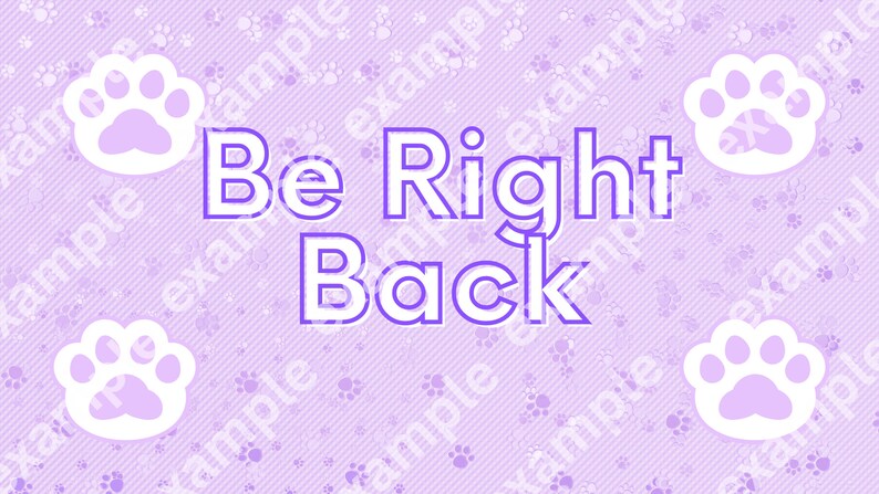 Animated Custom Starting Soon and Be Right Back Screens - Etsy
