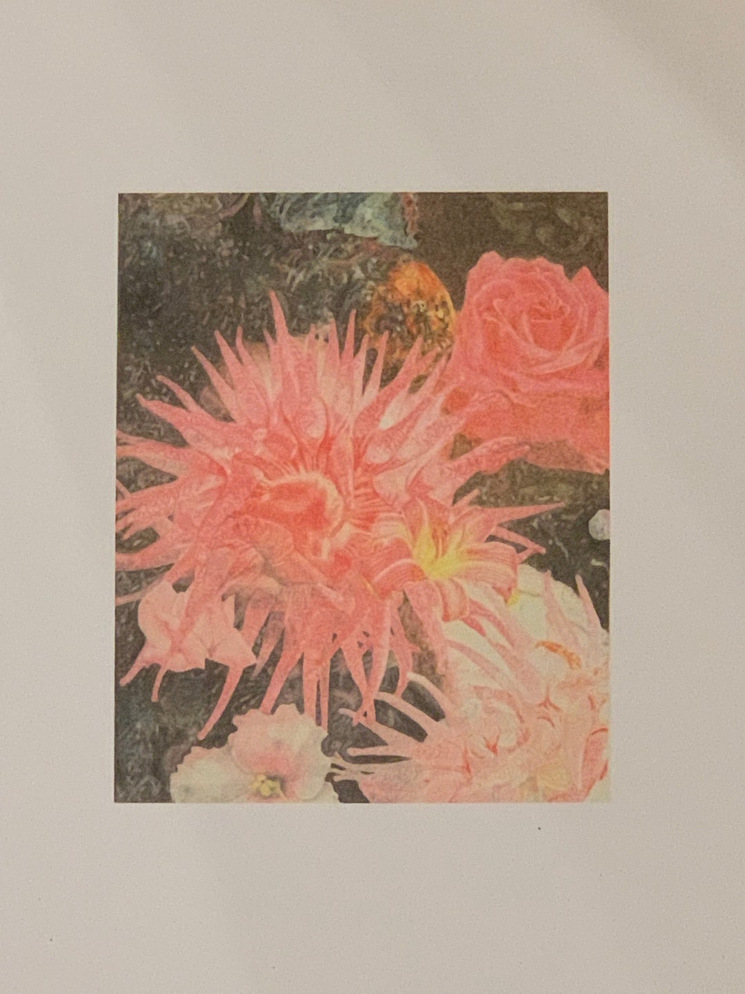 Sea Anemone Print - Etsy