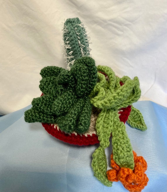 Everlasting Cactus Dish Garden Handmade Crochet - Etsy