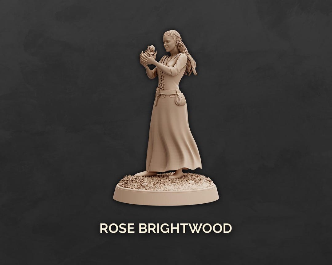 Rose Brightwood Human Sorcerer Artificer Mini Printed Miniatures Ideal ...