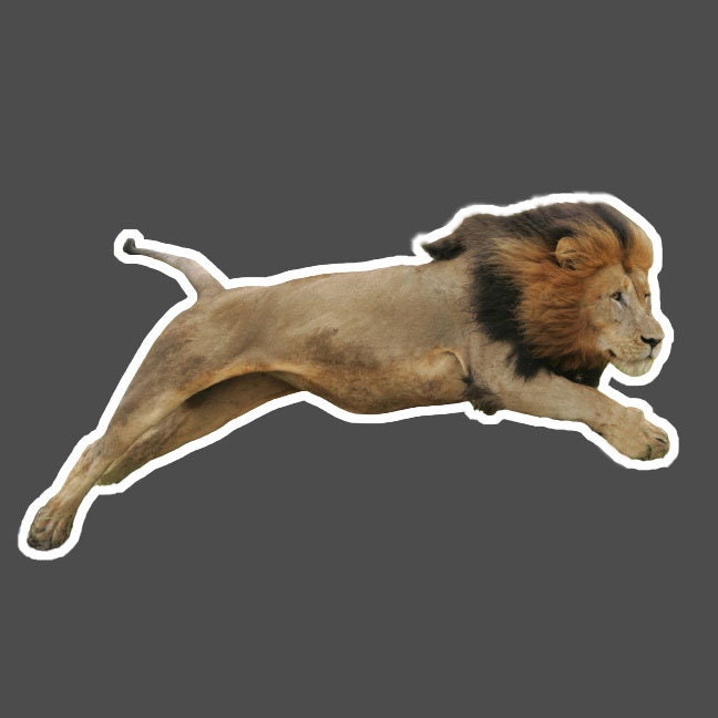 Leaping Lion Vinyl Sticker Full Color Multiple Sizes | Etsy