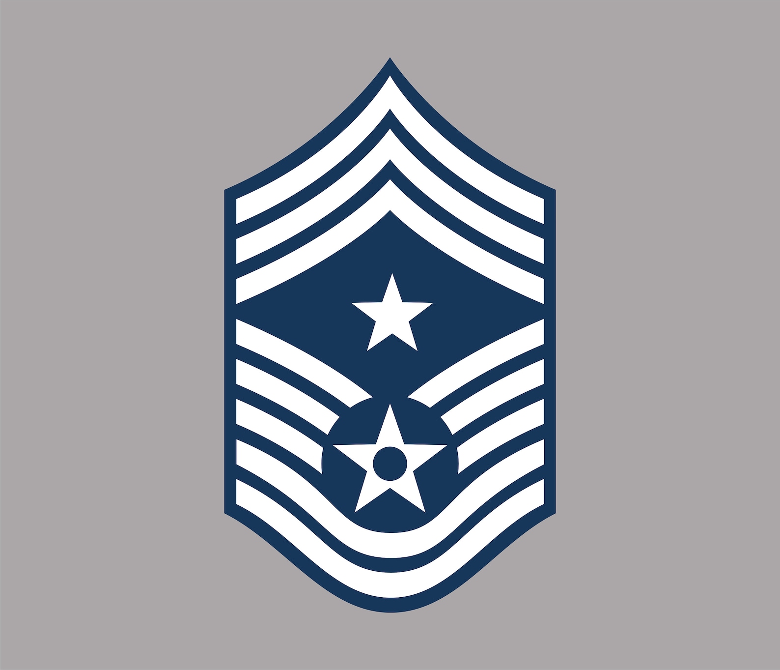 Air Force Chief Master Sergeant Cmsgt E 9 Rank Gore T - vrogue.co Air Force Chief Master Sergeant Cmsgt E 9 Rank Gore T - vrogue.co