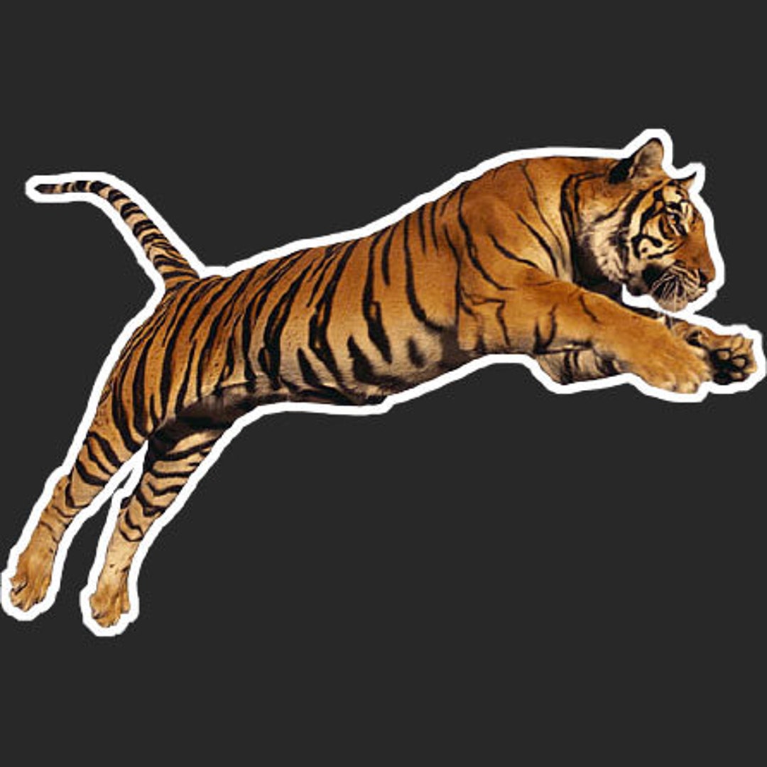 Leaping Tiger Vinyl Sticker Full Color Multiple Sizes for Windows, Cars ...
