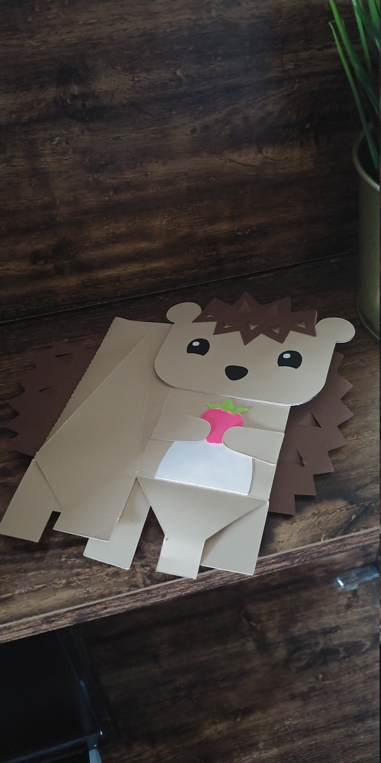 Porcupine Candy Box - Etsy