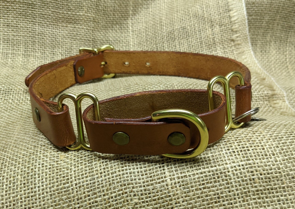 Collier pour chien Martingale en cuir 1 pouce de largeur - Etsy France