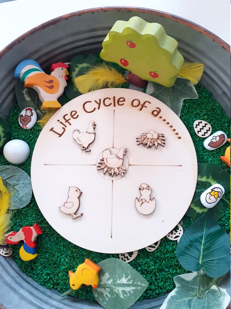 Life Cycle of a Chicken Story Stones Sensory Bin Tuff Tray - Etsy Finland