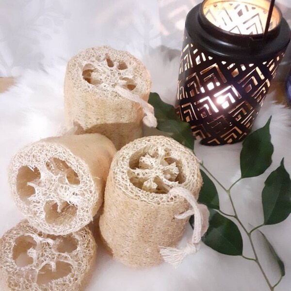 Luffa Sponge - Etsy