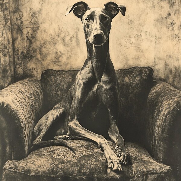 Greyhound - Etsy UK