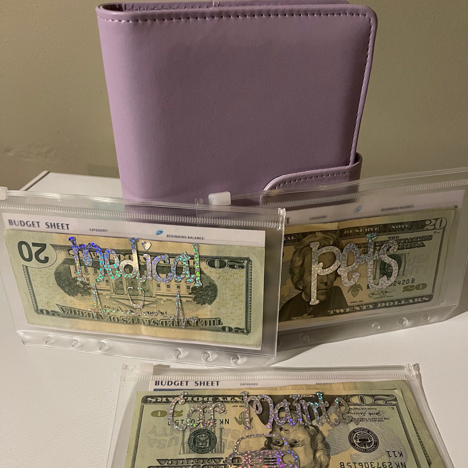Diy cash envelope binder - showcasefopt