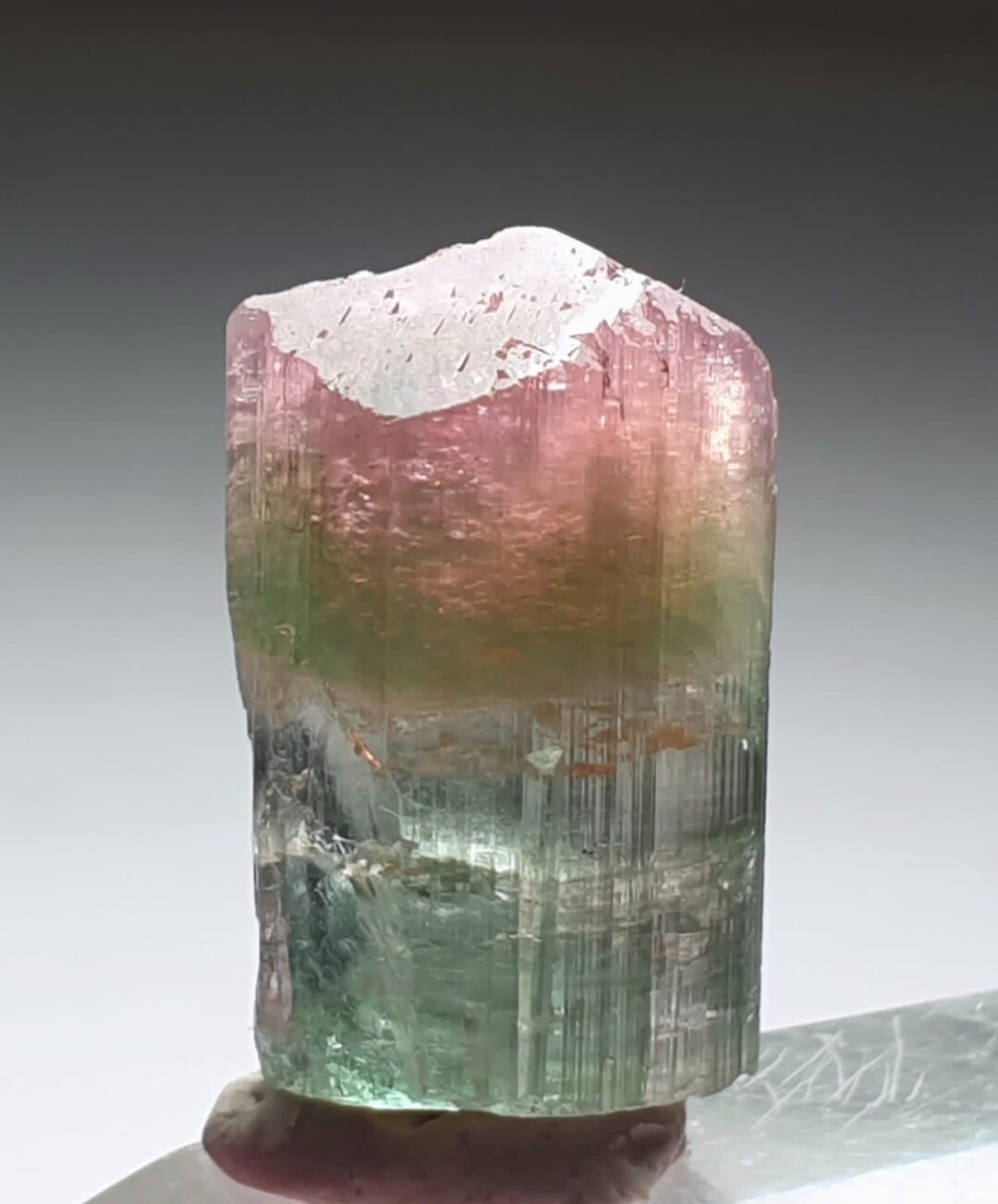 Tourmaline Crystal Four Color Zoning Natural From Afghanistan ...