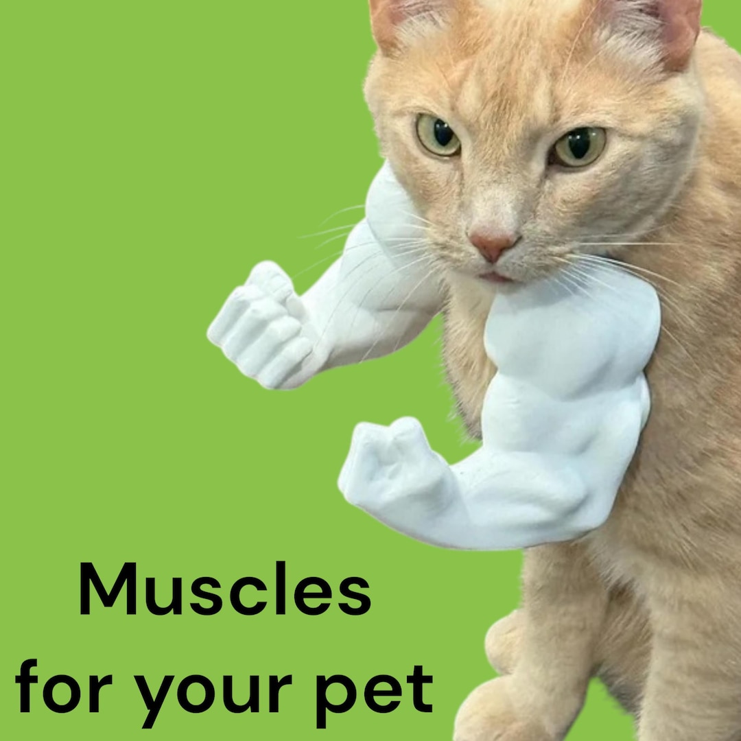 Arm Muscles | Cats & Dogs | Funny | Pet Costume - Etsy